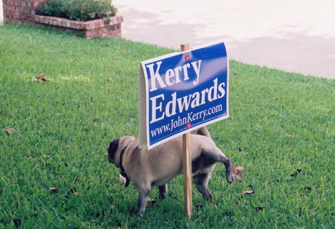 Political Ads